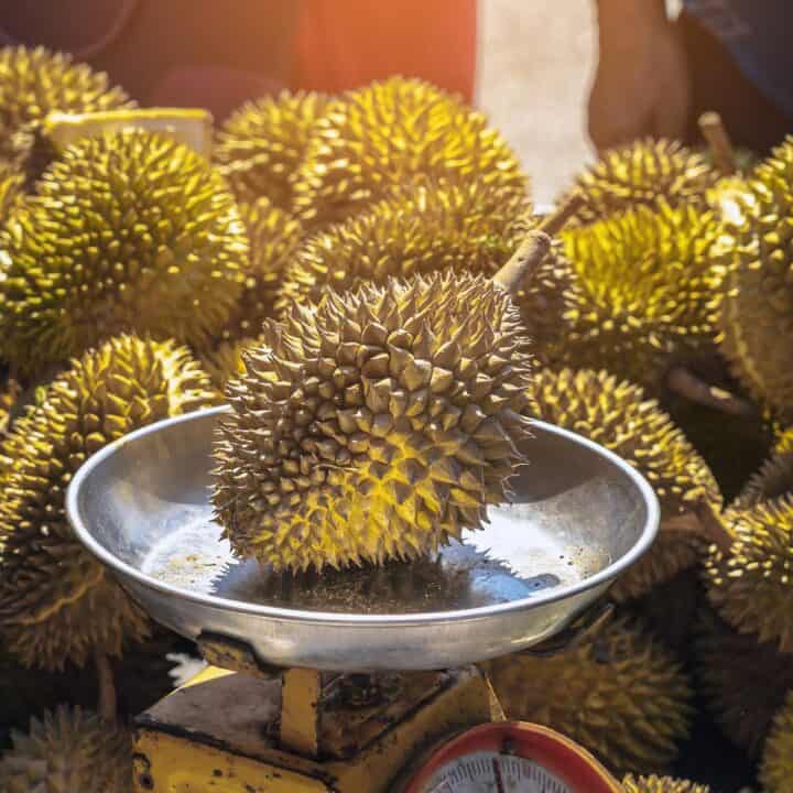 Durian Season in Thailand: When and Where to Find the Best Fruit