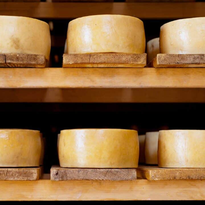 Dalmatia Food: Explore Croatia's Culinary Treasures - Foodventures Abroad