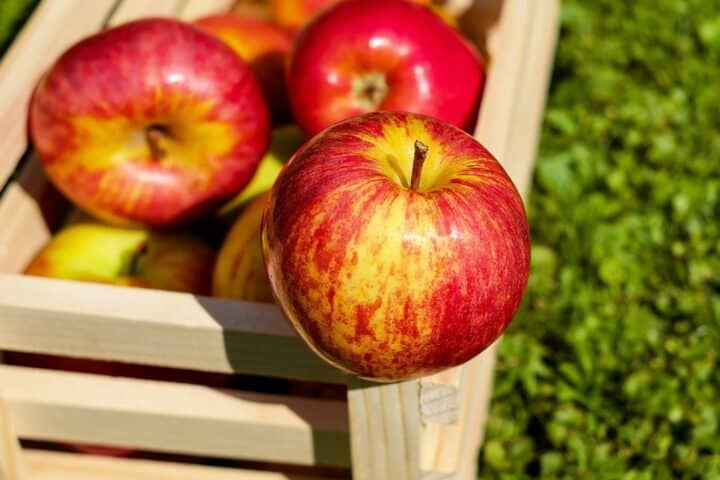 Traditional Portuguese Fruits Locals Love - Foodventures Abroad